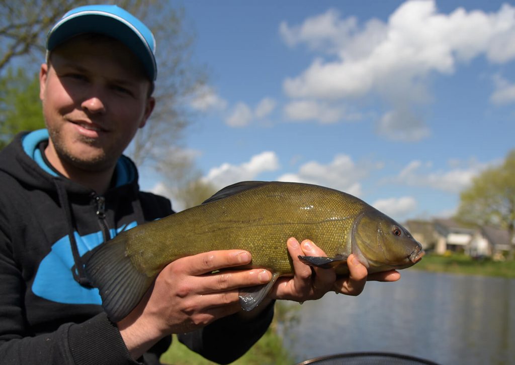 Centurion C550 Pro Competition - Pole - Products - Cresta