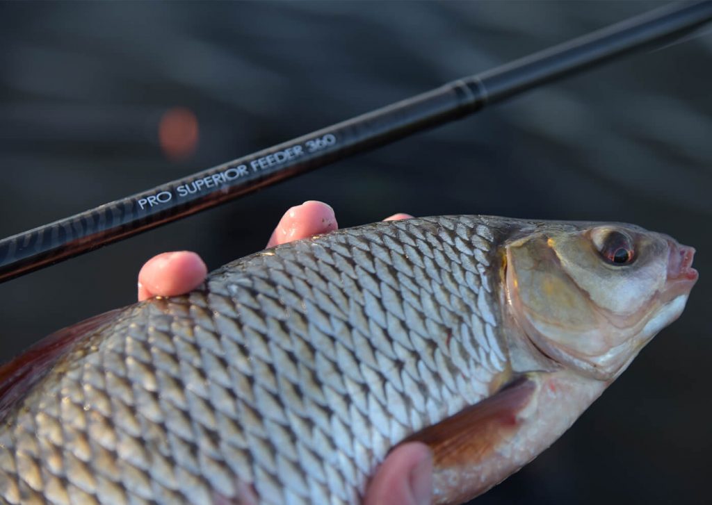 IDentity Pro Superior Feeder Rods - Products - Cresta