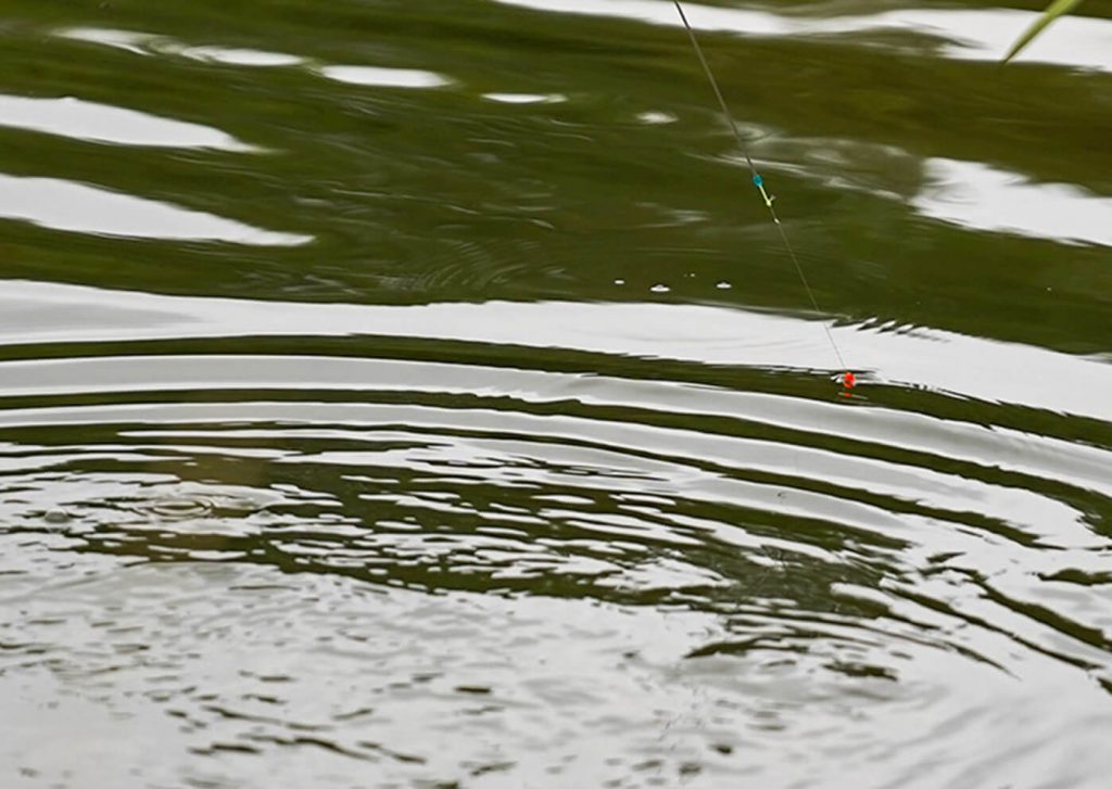 Smooth Dacron Connectors - Products - Cresta