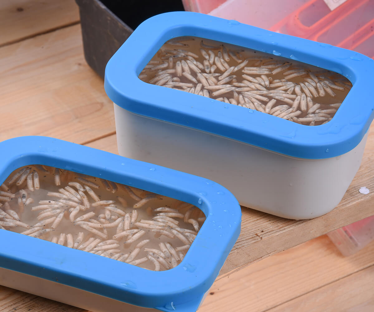 Baitbox White Open Lid - Products - Cresta